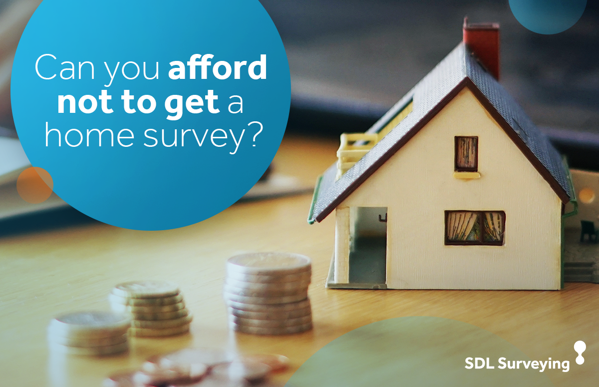 What are the different home surveys you can get? | SDL Surveying